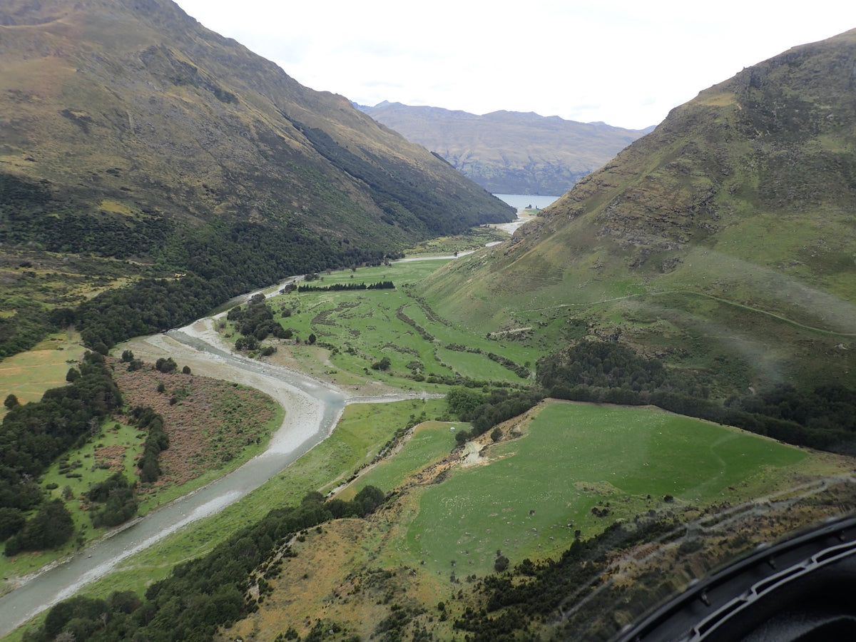 Green Humpy – The Fly Shop Australia