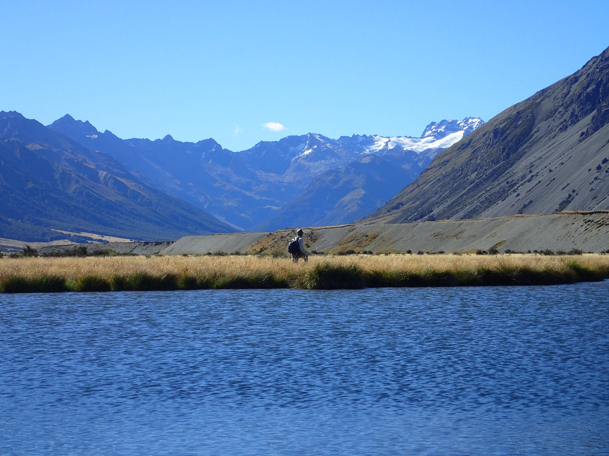 Five best flies for trout fly fishing in New Zealand – The Fly Shop ...