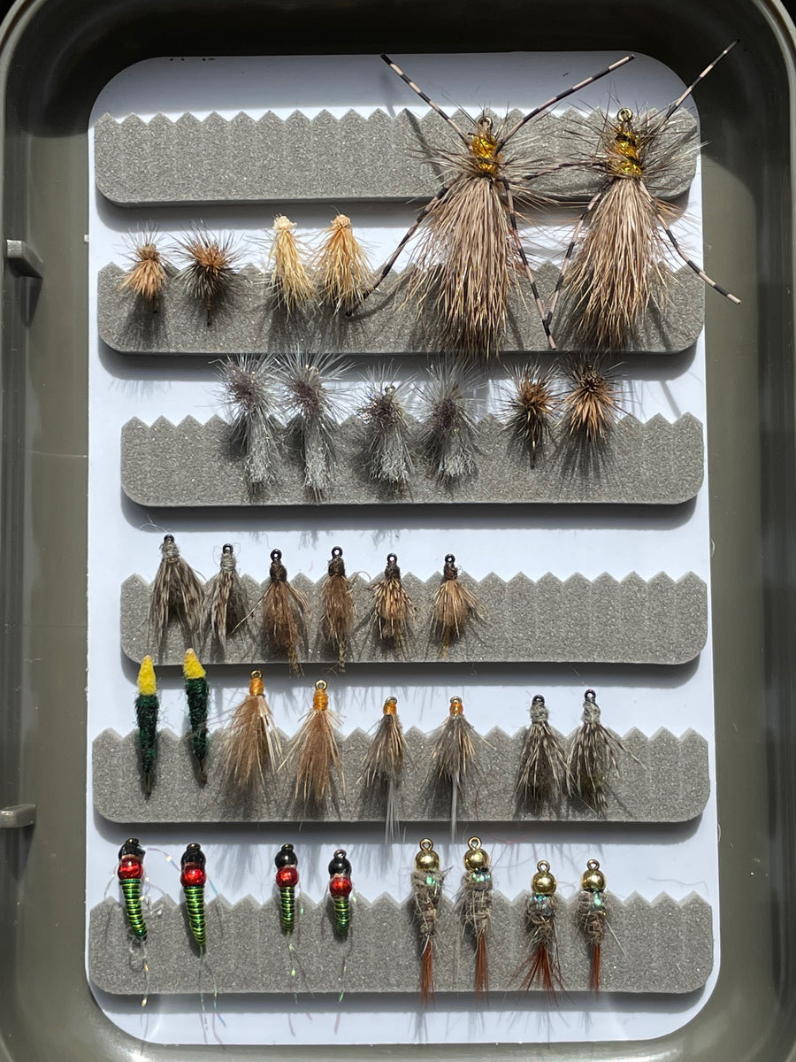Caddis Life Cycle Pack – The Fly Shop Australia