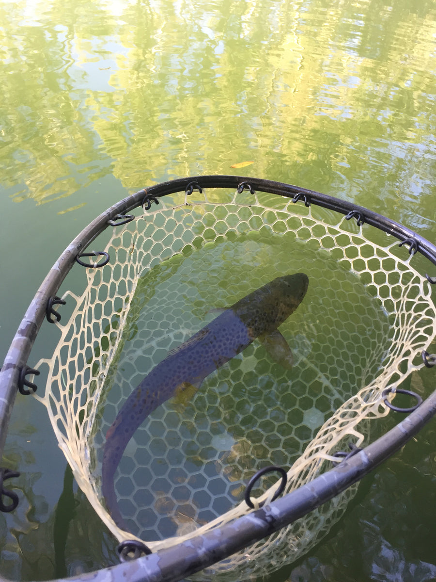 Seaducer – The Fly Shop Australia