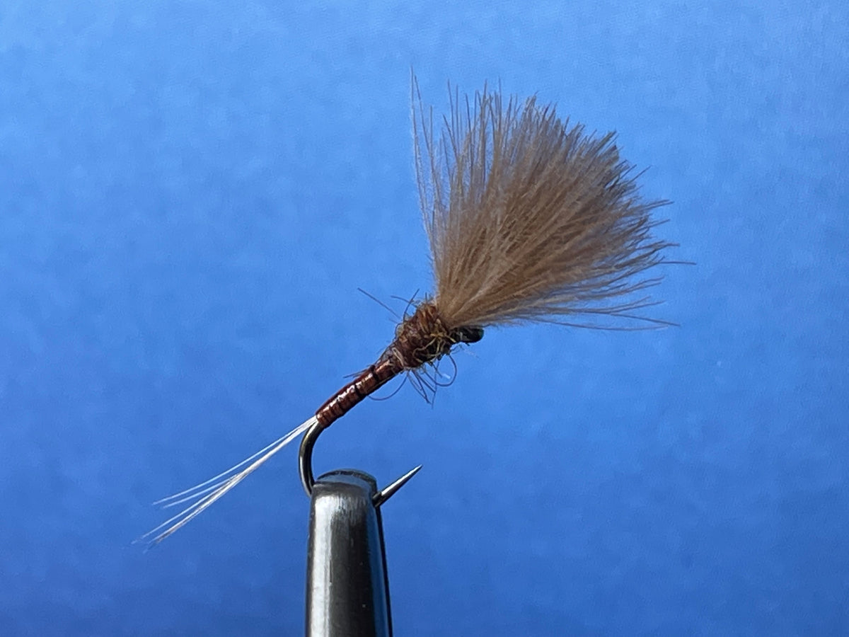 Quill Body Plume Tip Spinner – The Fly Shop Australia