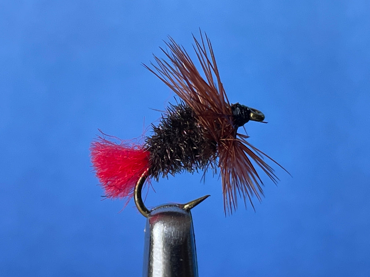 Jig Head Red Tag Nymph Bronze Tungsten Bead – The Fly Shop Australia