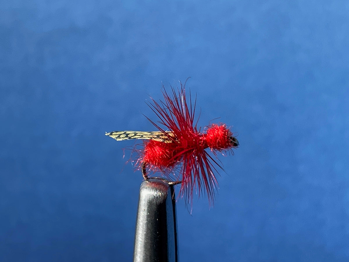 Red Ant – The Fly Shop Australia