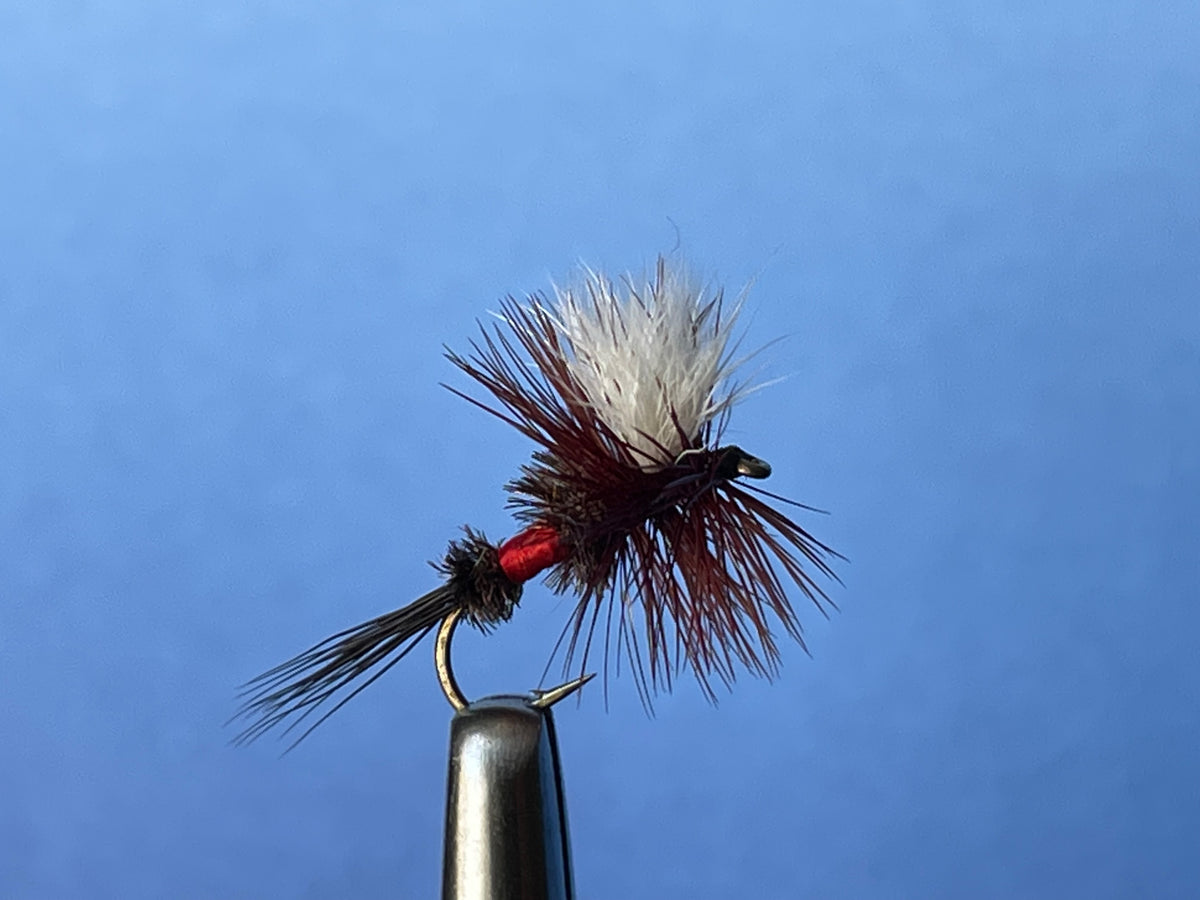 Grey Wulff – The Fly Shop Australia