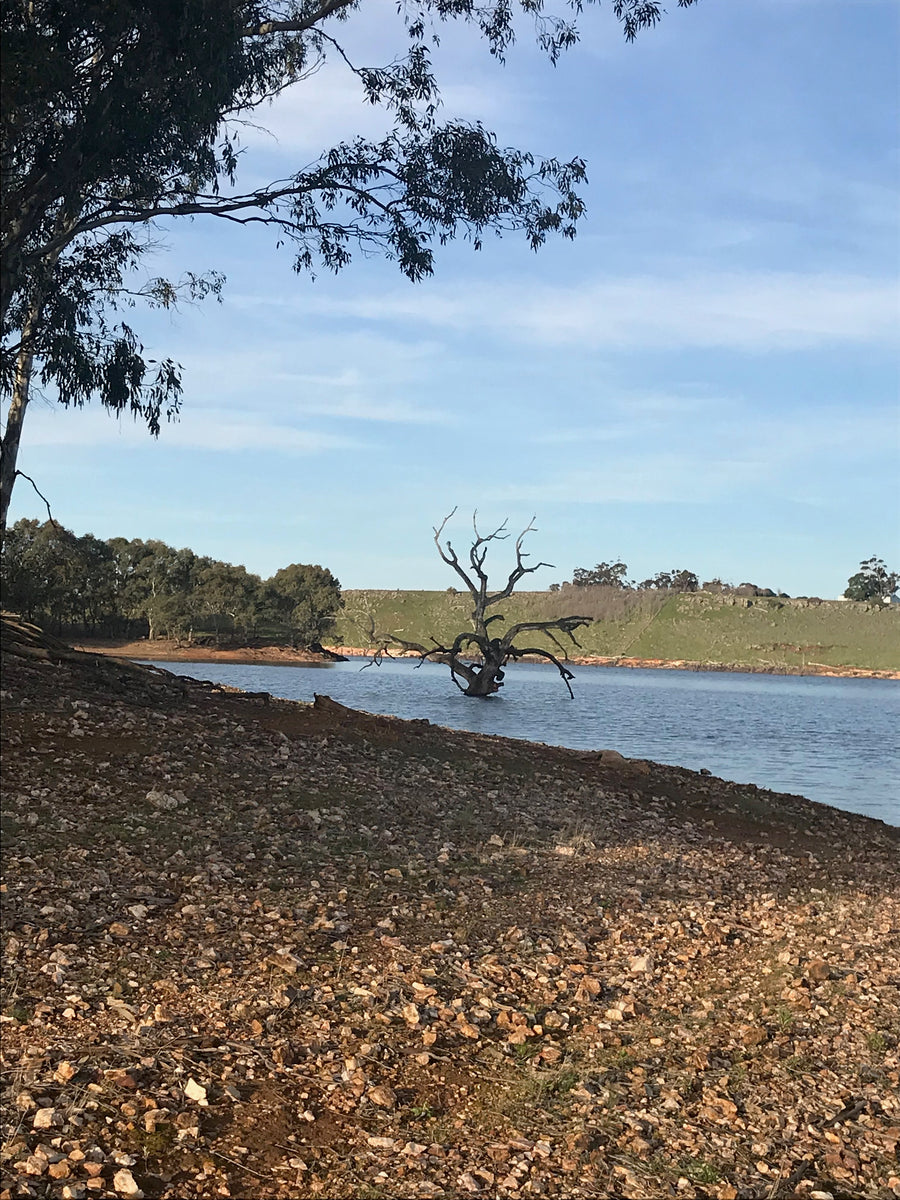 Fuzzle Bugger Olive – The Fly Shop Australia