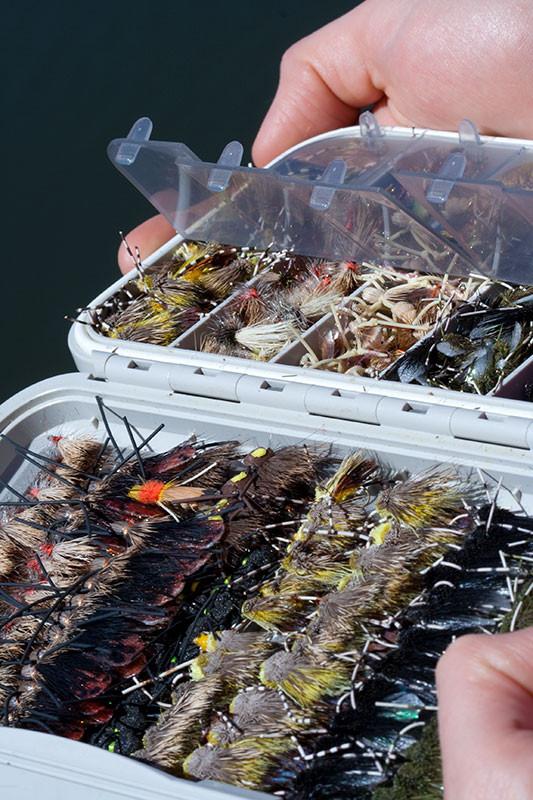 Custom Fly Packs – The Fly Shop Australia